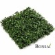 Zelene stene - žive meje I vrhusnka dovršenost I naraven izgled I Bonsai