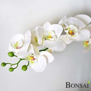 Orhideja v lončku 140 cm bele barve | Bonsai umetne orhideje