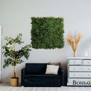 Zelena stena green wall 40 x 60 cm I zelene stene I BONSAI
