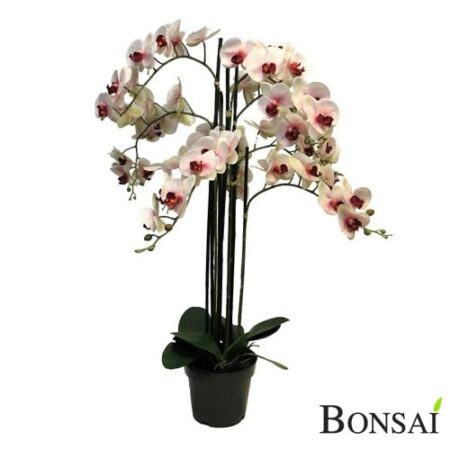 Orhideja belo- roza aranžma RT 110 cm I umetna orhideja I Bonsai