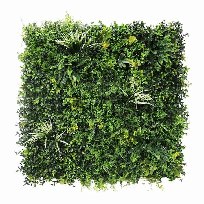 Zelene stene - zeleni paneli I green wall I naraven izgled I Bonsai