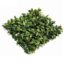 Zelene stene - zeleni paneli I green wall I naraven izgled I Bonsai