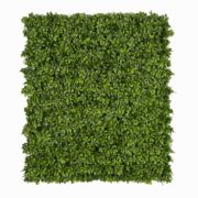 Zelene stene - žive meje I green wall I naraven izgled I Bonsai